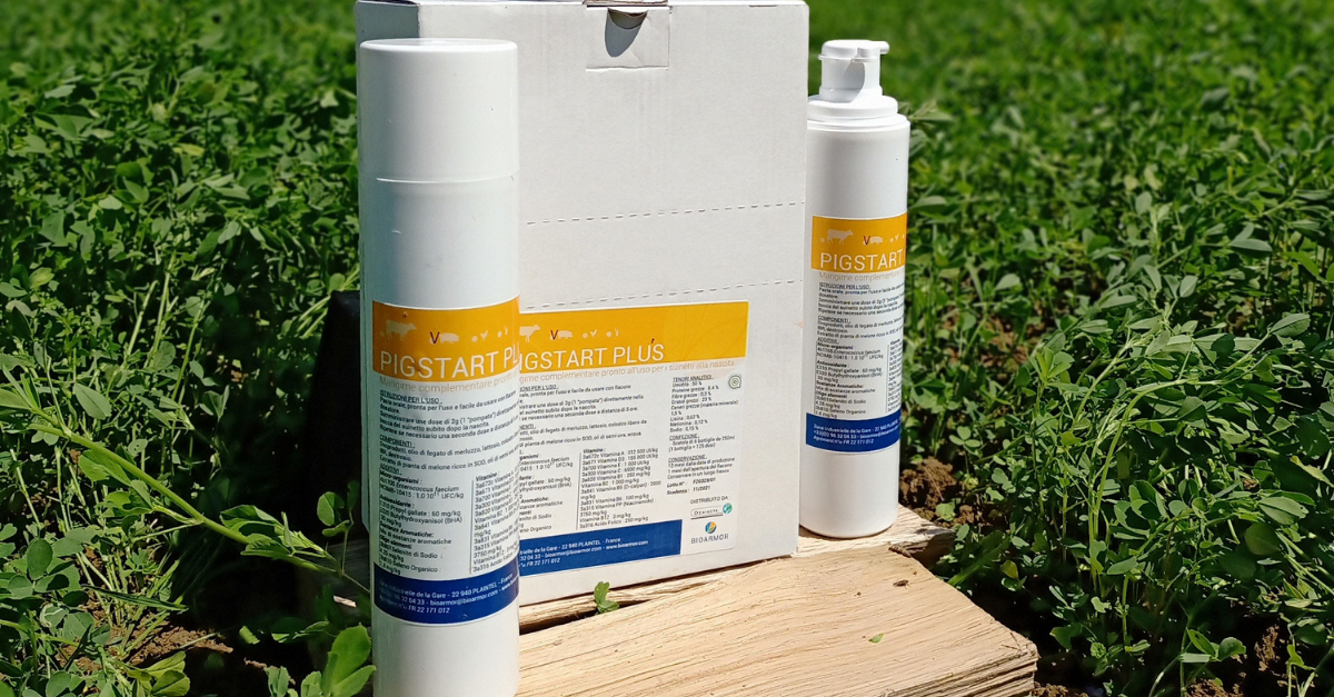 UN EROGATORE FACILE DA UTILIZZARE PER AUMENTARE LA SOPRAVVIVENZA DEI ...