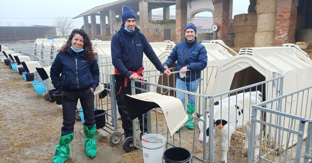 COME FAVORIRE LO SVILUPPO DEL RUMINE NELLE VITELLE UTILIZZANDO UN SOLO ...